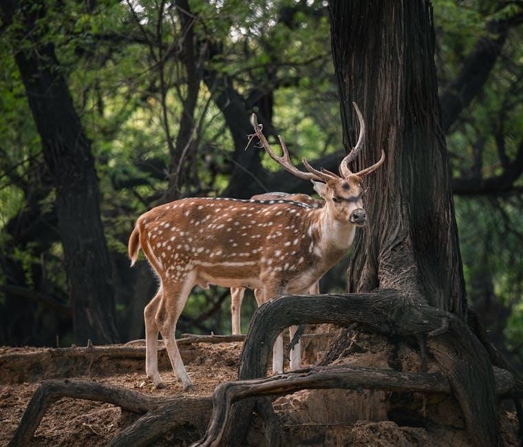 Ace Paces: Free PDF Download – Run Faster & Smarter!